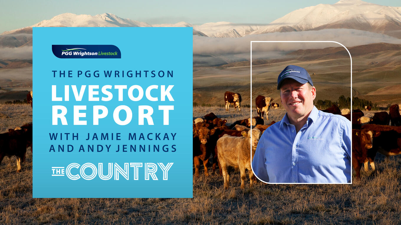 Livestock report: ‘Nothing but good news’ from the Wairarapa | PGG Wrightson